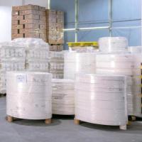 China 170/190/210GSM High Bulk Factory Wholesale PE PLA Coated Cup Paper Roll Bottom Roll for sale