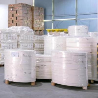China 170/190/210GSM High Bulk Factory Wholesale PE PLA Coated Cup Paper Roll Bottom Roll for sale