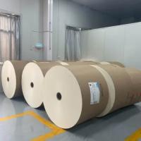 China Biodegradable Factory Direct Sale Of PE Paper Rolls For Making Cups for sale