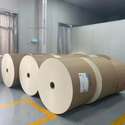 China Biodegradable Factory Direct Sale Of PE Paper Rolls For Making Cups for sale