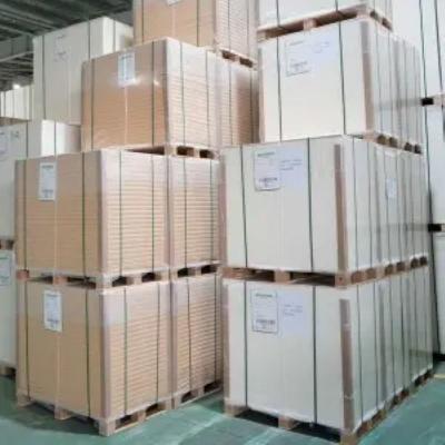 China Strong and Flexible PE Coated Paper Sheet Suitable for Beverage Cups Soup Bowls and Food Packaging with Custom Printing for sale