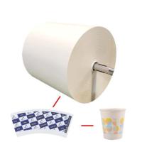 China PE Coated Raw Material Food Packing Paper Roll With 500~1500mm Width For Paper Cup Fans for sale