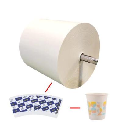 China PE Coated Raw Material Food Packing Paper Roll With 500~1500mm Width For Paper Cup Fans for sale