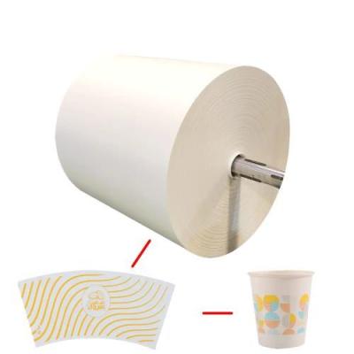 China Waterproof High Bulk White PLA Coated Paper Roll 150-350gsm 100% Virgin Wood Pulp for sale