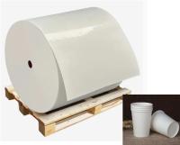 China Export FDA Quality Waterproof PLA Coated Paper Rolls For Food Containers Pure Material for sale