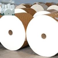 China Craft Material PE/PLA coated paper roll Free Sample OEM FDA Quality for heavy Weight Customized Color for sale