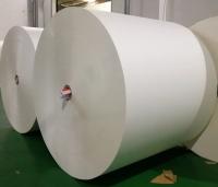 China Biodegradable Hot/Cold Drinking Cup PLA Coated Paper Roll With Logo Printing For Paper Cups for sale