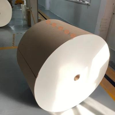 China 190g 210g PLA Coated Paper Cup Craft Roll stock For Coffee 100% Biodegradable Disposable for sale