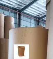 China Customized Weight Virgin Wood Pulp Paper Roll PE Coating for Coffee Cups for School Lunch for sale