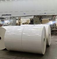 China School drinking use PLA Coated Laminated Paper Roll food Grade stable weight 150-350gsm for sale