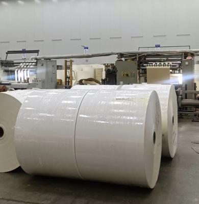 China School drinking use PLA Coated Laminated Paper Roll food Grade stable weight 150-350gsm for sale