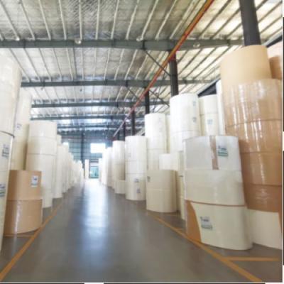 China Food Grade PE Coated Paper Roll Wood Pulp Waterproof Coffee Cups Raw Material for sale