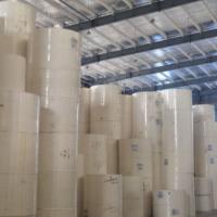 China 100% Virgin Wood Pulp Waterproof Raw Material Food Grade PE Coated Paper Cup Roll for Sale for sale