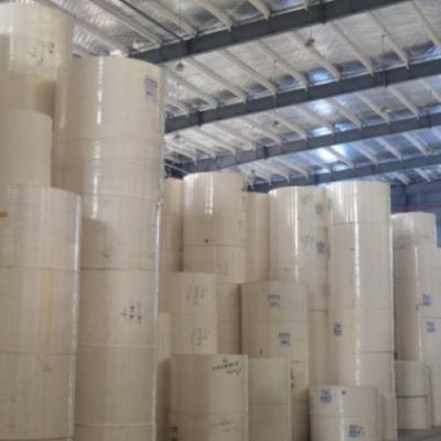 China 100% Virgin Wood Pulp Waterproof Raw Material Food Grade PE Coated Paper Cup Roll for Sale for sale