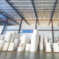 China 180-350GSM PE Coated Cup Stock Paper Roll for Paper Cup and Food Container for sale