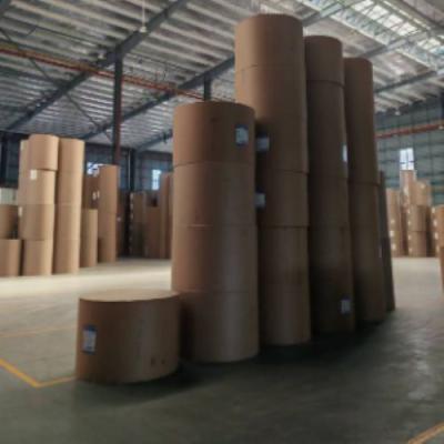 China FSC Certification PE Coated Paper Roll for Moisture-Proof Food Packaging Solutions for sale