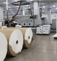 China Strong moisture and grease barrier Durable Packing paper PE/PLA Coated Cup/bowl Paper Roll for sale