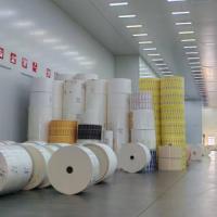 China Recycle Paper Cup Raw Material Single PLA Coated Paper Bottom Roll for Paper Cups Bowls Making for sale