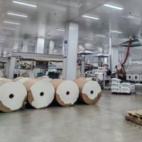 China Eco-friendly Customizable PE Coated White Paper Cup Rolls Flexography Printing Beverage Wrapping for sale