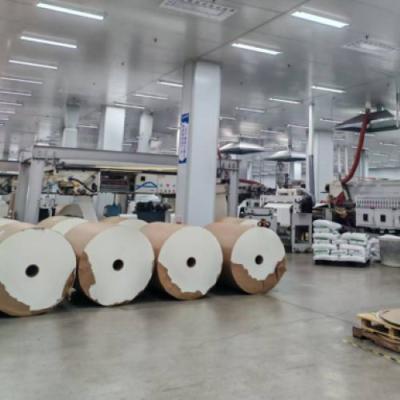 China Eco-friendly Customizable PE Coated White Paper Cup Rolls Flexography Printing Beverage Wrapping for sale