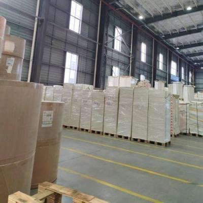 China Raw Materials Single Double Sided Offset Paper PE Coated Paper Sheet for Disposable Paper Cup Container Printing for sale