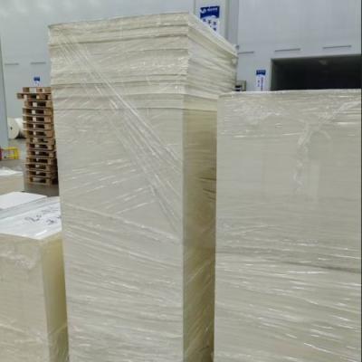 China Eco-friendly Biodegradable Wholesale Food-Grade Single Double Wall PE Coating Paper Cup Sheets for sale