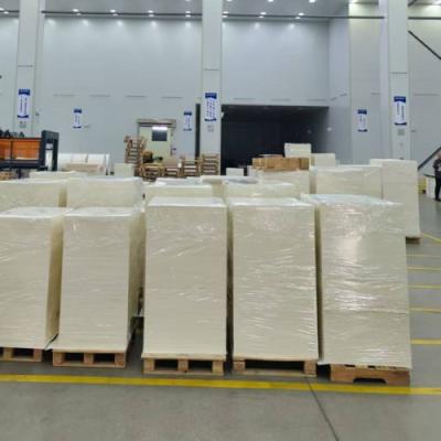 China Waterproof Food Grade Biodegradable Disposable PE Single Coated Paper Cup Raw Materials Sheet for Paper Cups for sale