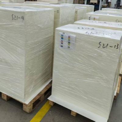 China China Supplier Low Price 4 Oz 6 Oz 8 Oz 12 Oz PLA Coated Sheet for Hot and Cold Drink Coffee Cup Production Raw Materials for sale
