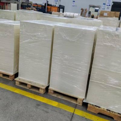 China Single Side Factory Wholesale Customizable PE Coated White Paper Cup Sheets for sale