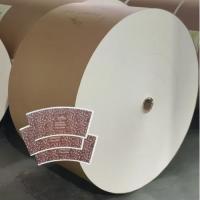 China Eco-friendly Factory Food Packaging Cup Stock Paper PE Coated Paper Roll for Paper Cup for sale