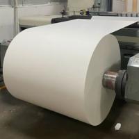 China Paper Cup Fan PE Coated Raw Material Paper Roll Food Grade Waterproof Paper Roll Disposable Single or Double Side Whit for sale