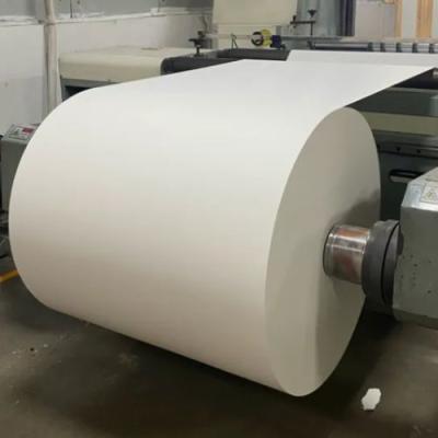 China Paper Cup Fan PE Coated Raw Material Paper Roll Food Grade Waterproof Paper Roll Disposable Single or Double Side Whit for sale