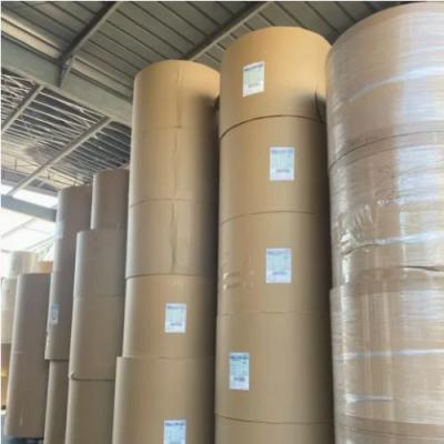China Factory Wholesale 1-7 Colors Free Sample PE Coated Paper Packaging Material PE Coated Paper Roll for sale