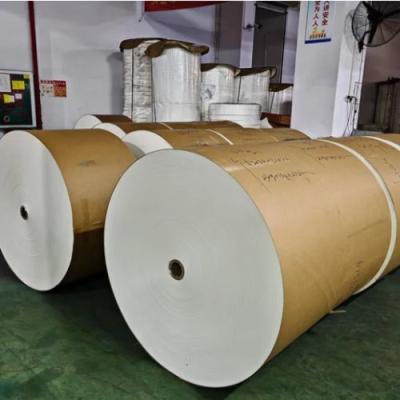China 1-7 Colors Single Double PE Coated Brown Kraft Cup Paper Roll for Making Various Cups for sale