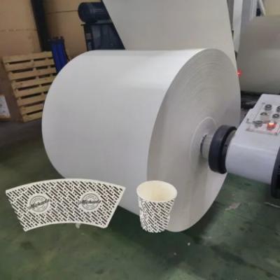 China Recycle Paper Cup Raw Material Single PLA Coated Paper Bottom Roll for Paper Cups Bowls Making for sale