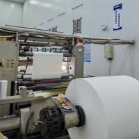 China Hot Sale Custom Printing Double PLA Coated White Paper Roll of Craft Paper for Coffee Cups for sale