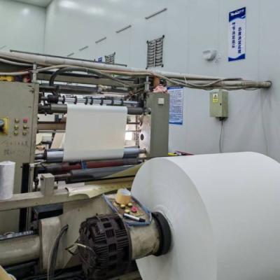 China Hot Sale Custom Printing Double PLA Coated White Paper Roll of Craft Paper for Coffee Cups for sale
