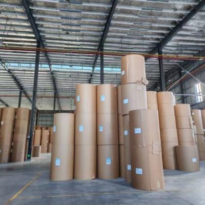 China 150 -350GSM Custom Designed Paper Roll with Single Double PLA Coating Paper Cup Raw Material for sale