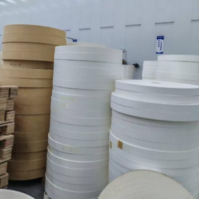 China Biodegradable Cup Bottom Roll Coated Paper Roll to Make Paper Single PE PLA Bottom 200-300GSM White Beverage Flexographic Printing for sale