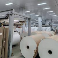 China High Bulk Waterproof Food Grade High Quality PLA Coated Paper Roll for Cups for sale