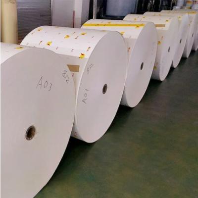 China Double Single Side PE Coated Paper Cup Raw Materials Waterproof Customized Beverage Food Grade Paper Cup Roll for sale