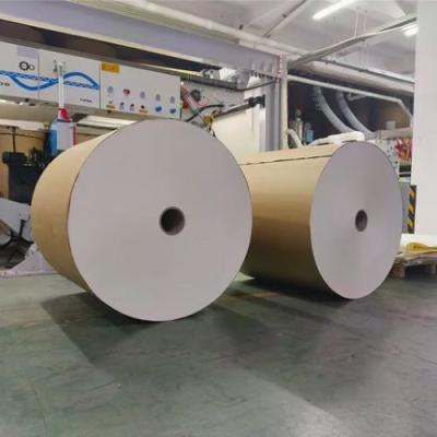 China Biodegradable Double PE Paper Cup Roll for Sustainable Food Service Paper Cups Containers for sale