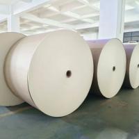 China Moisture resistant Eco-friendly Food Grade Single Double PE Coated Paper Rolls for Coffee Tea Cup for sale