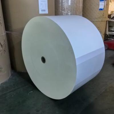 China Paper Cup Raw Material Double PE Coated Paper Roll for Cups and Bowl Making Paper Roll for sale