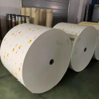 China Single PE Coated Cup Paper in Roll Craft Paper Roll for 100% Biodegradable Paper Cups Rolls for sale