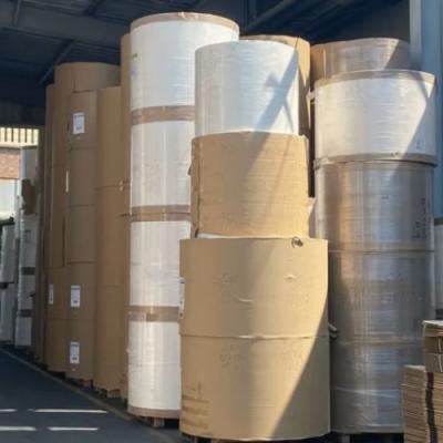 China FSC Certification Food Grade Disposable Paper Cup Raw Material Paper Cup Fan Roll and Sheet PE Coated Paper Roll for sale