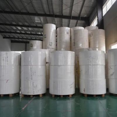 China Customized GSM 150-350 1-7 Colors Acceptable OEM Paper Cup Material Paper Cup Roll for sale