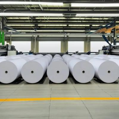 China Waterproof Custom Printed PE Paper Cup Roll for Hot Cold Tea Beverages Coffee Shops for sale
