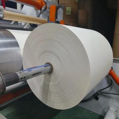 China Custom Accept Various Colors 230GSM 4oz 6oz 8oz Single or Double PE Coating Paper Roll for sale