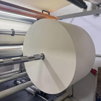 China Single or Double PE Coated Paper Roll 100% Wood Pulp Waterproof Coffee Tae Cups Raw Material for sale